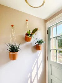 WallyGrow Loop Hanging Planter