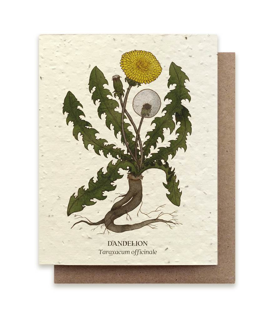 The Bower Studio Dandelion Seeded Greeting Card